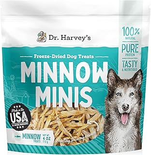 Exploring The Common Minnow Diet: What Do These Tiny Fish Like To Eat ...