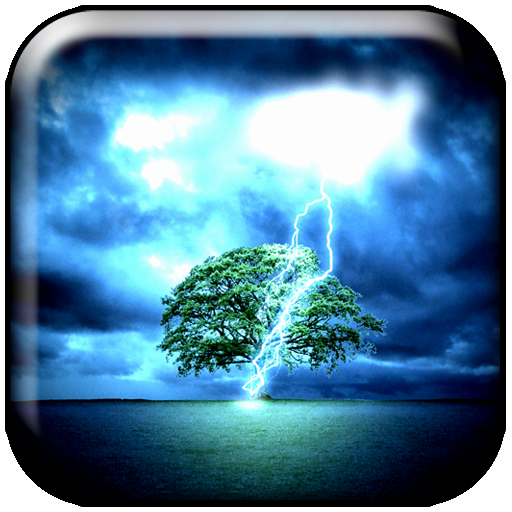 Storm Tree Wallpapers
