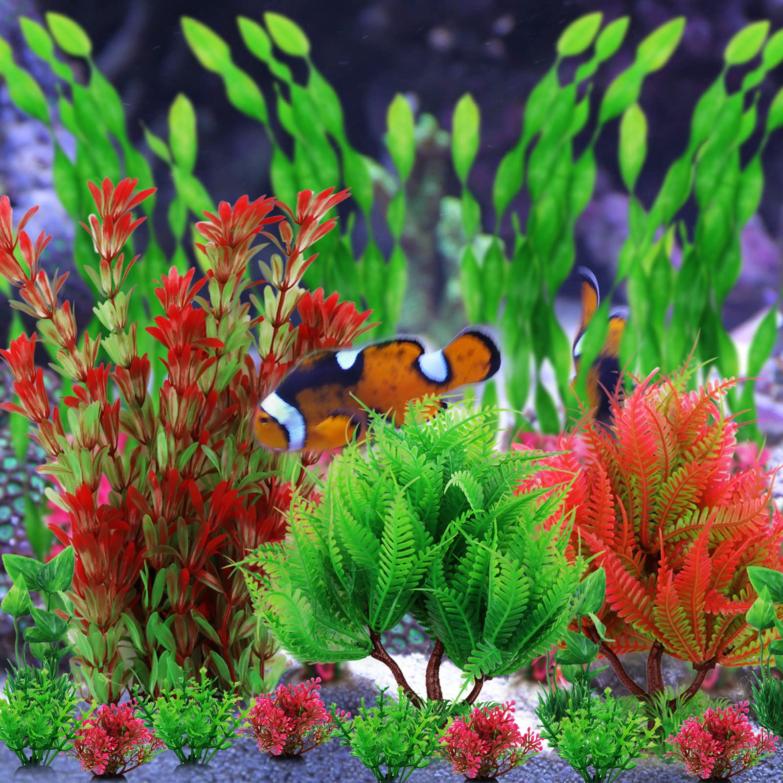 Colorful Freshwater Aquarium Plants