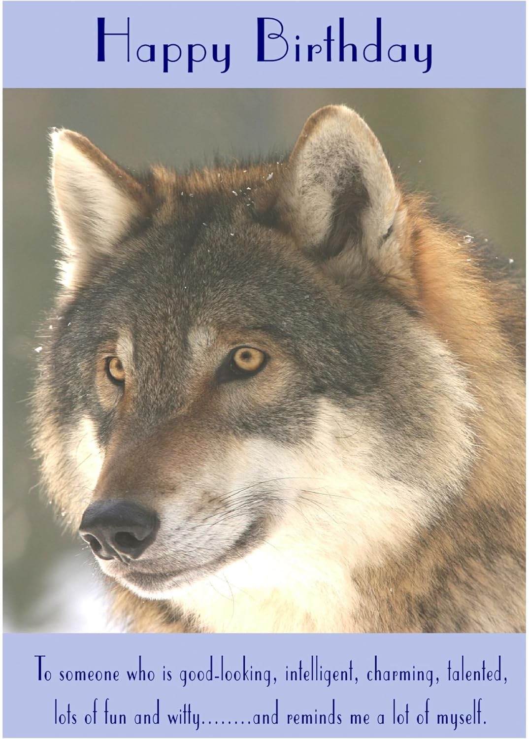 Wolf Birthday Card : Amazon.co.uk: Stationery & Office Supplies