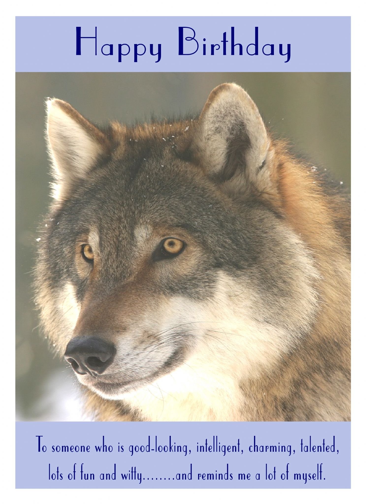 Wolf Birthday Card : Amazon.co.uk: Stationery & Office Supplies