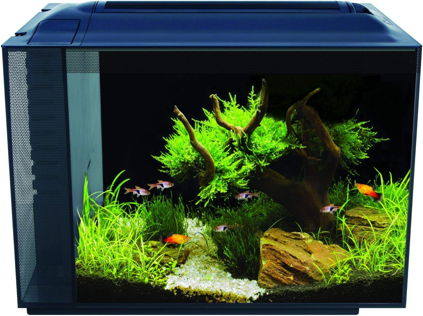 Amazon.com : Fluval Spec V Aquarium Kit (16 gal.) : Pet Supplies