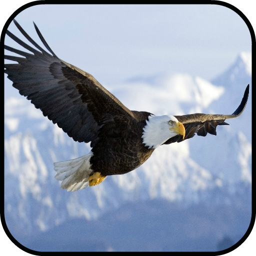 Sky Eagle Attack - App on Amazon Appstore