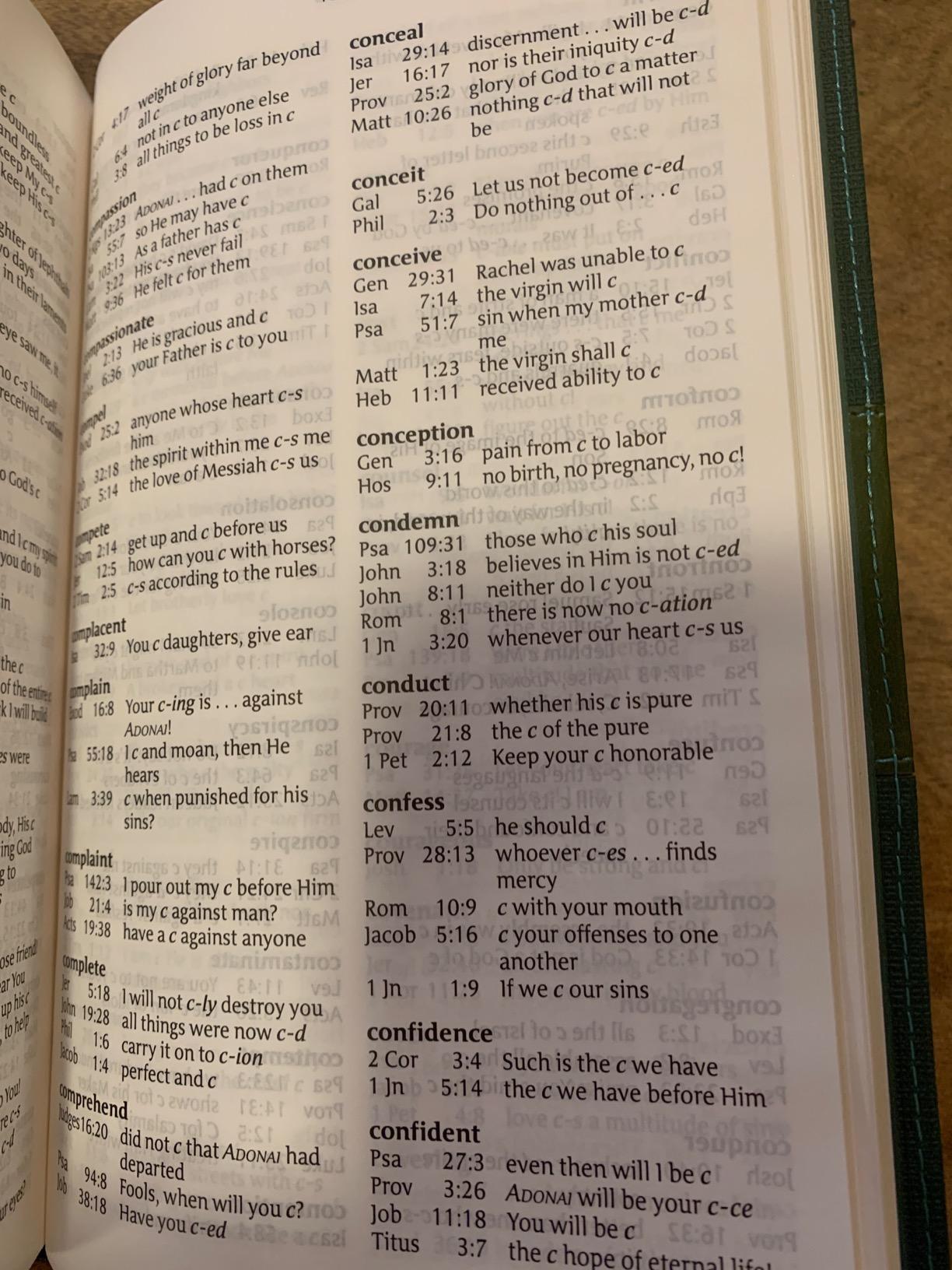 Amazon.com: TLV Personal Size Giant Print Reference, Holy Scriptures ...