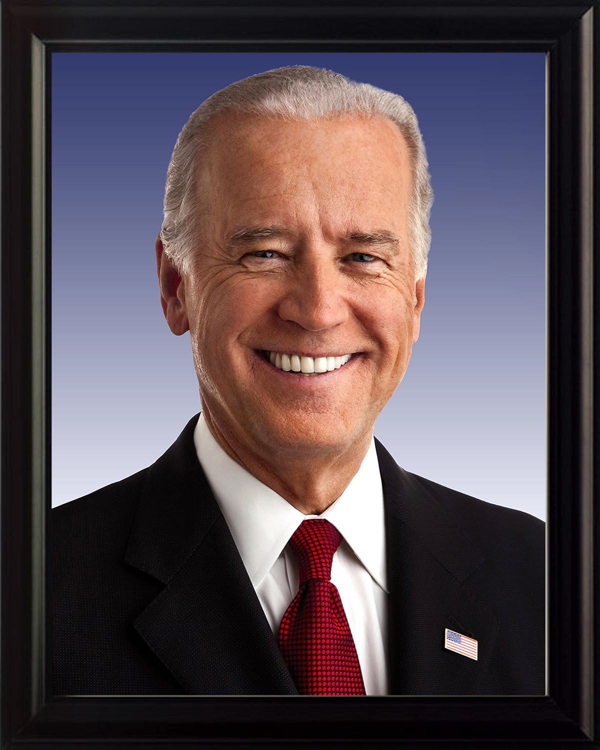 Amazon.com: Joe Biden 8x10 Framed Photo: Photographs