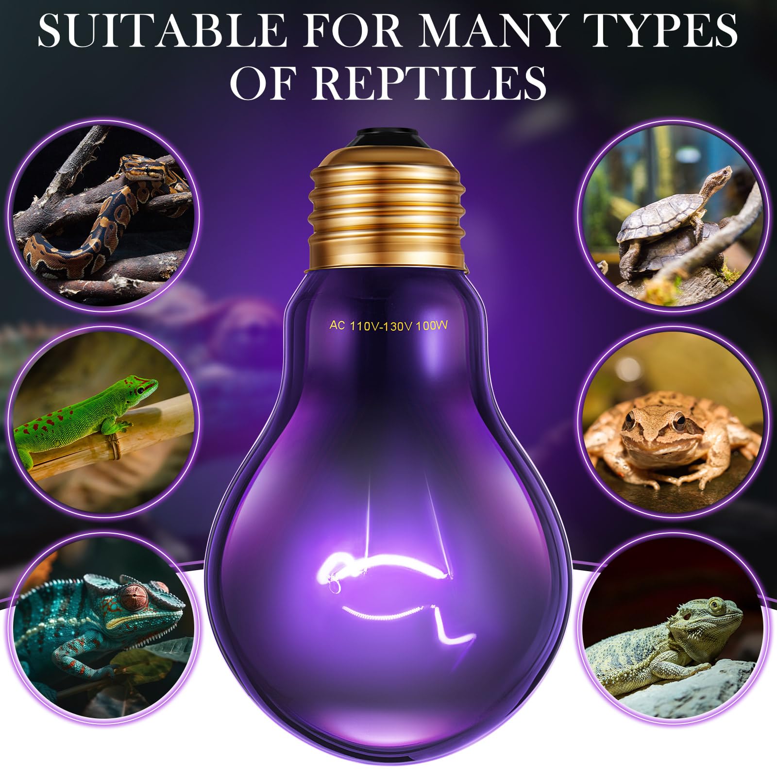 Snapklik.com : 4 Pack 100W Reptile Night Heat Lamp Simulate Moonlight ...