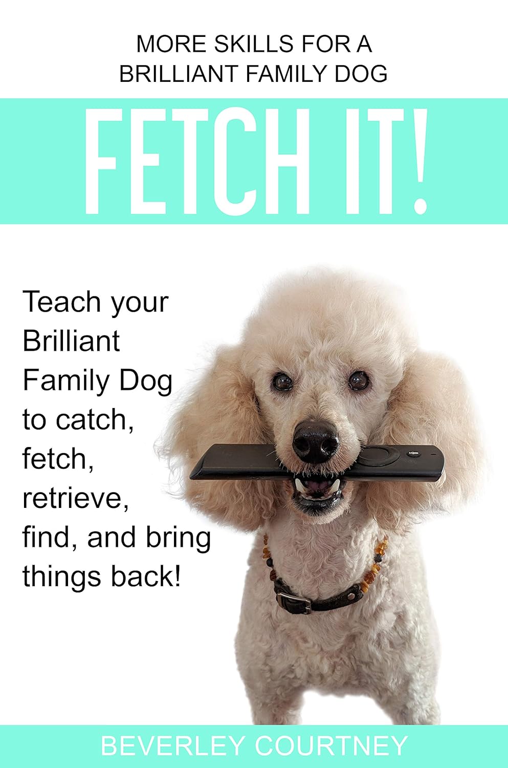 Fetch It!: Teach your Brilliant Family Dog to catch, fetch, retrieve ...