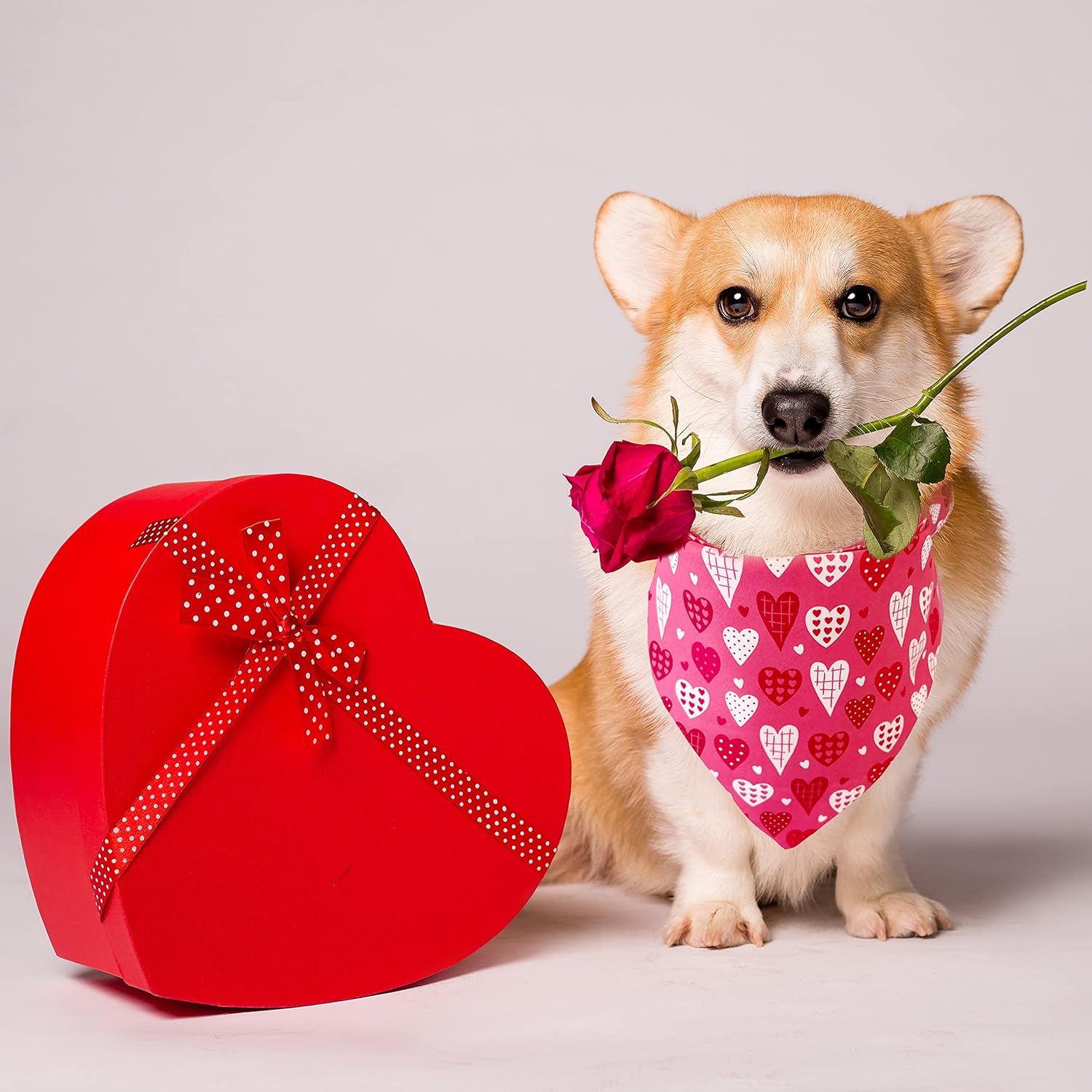 Bandana de San Valentín para perros y gatos diseño de labios y ...