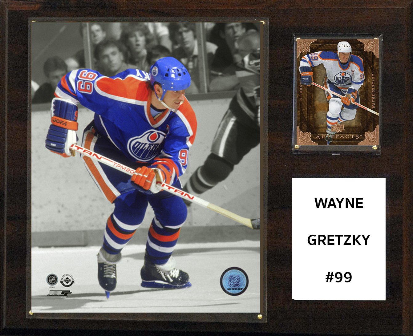 Buy C&I Collectables NHL Edmonton Oilers Wayne Gretzky Player Plaque ...