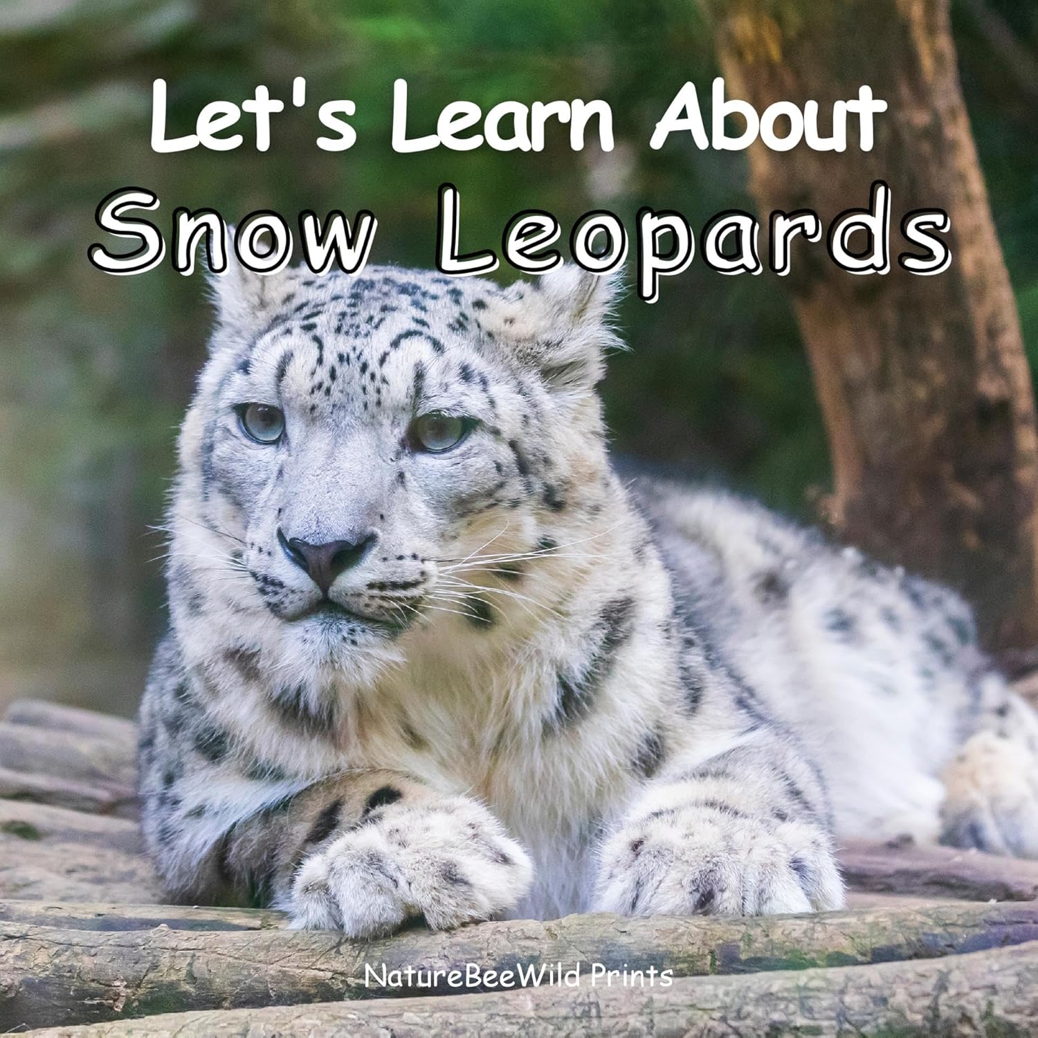 Let's Learn About Snow Leopards (Let's Learn About Animals) eBook ...