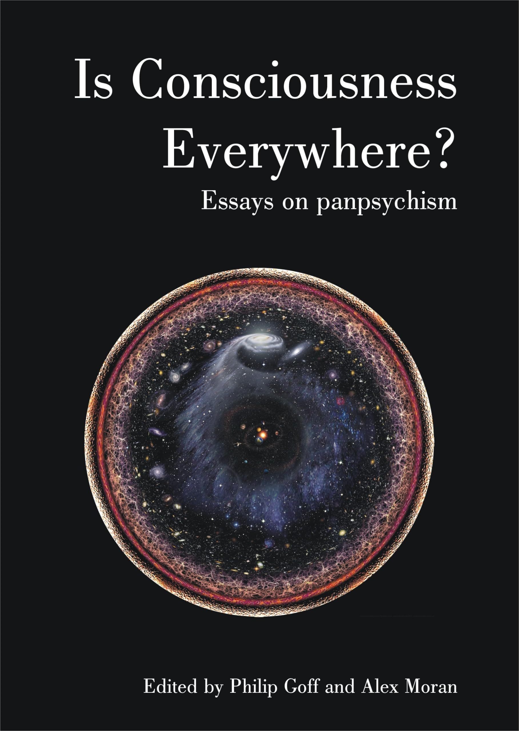 Is Consciousness Everywhere?: Essays in Panpsychism (Journal of ...