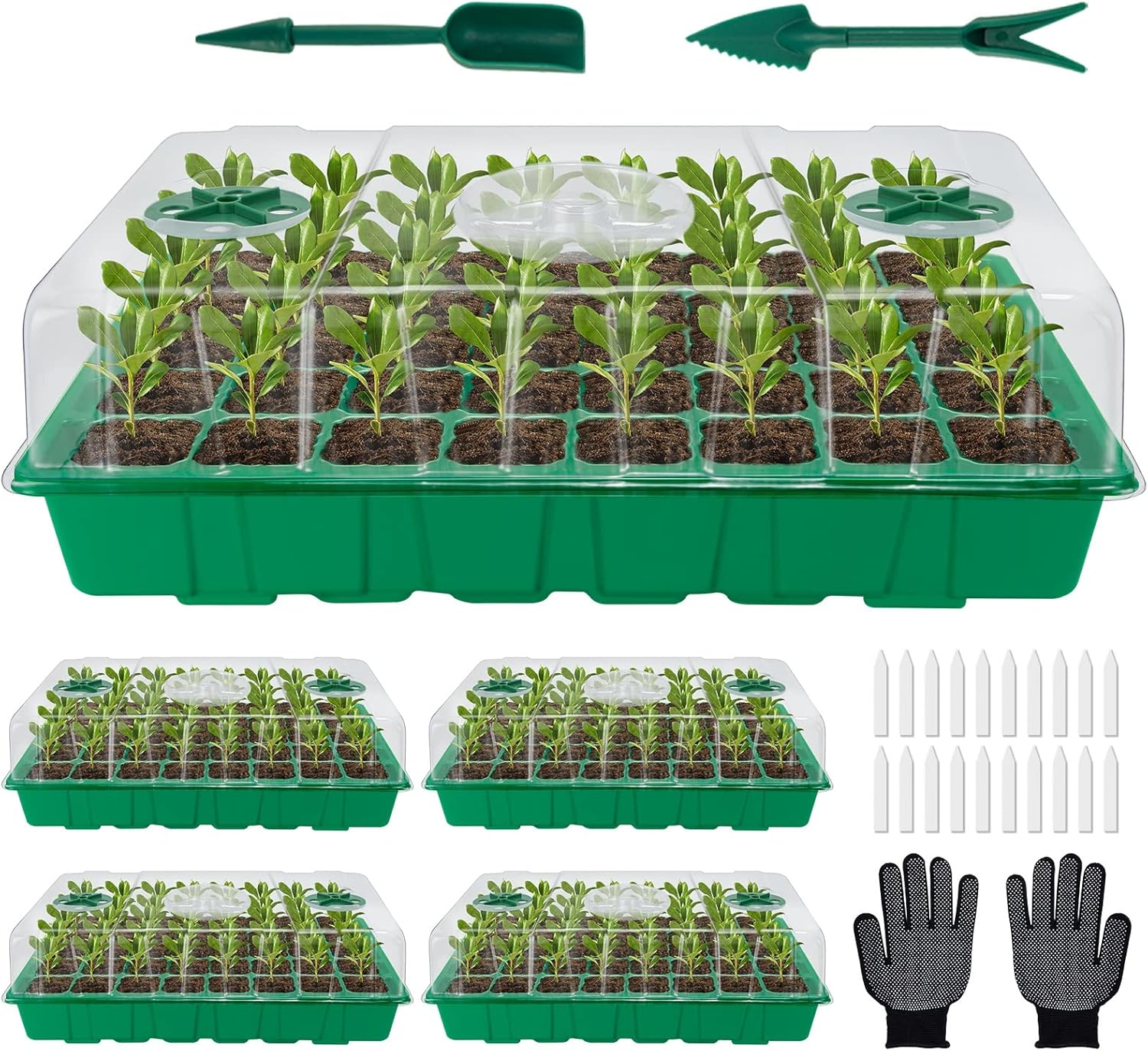 Qoosea 160 Cells Seed Starter Tray 4 Pack Seed Starter Kit Seedling ...