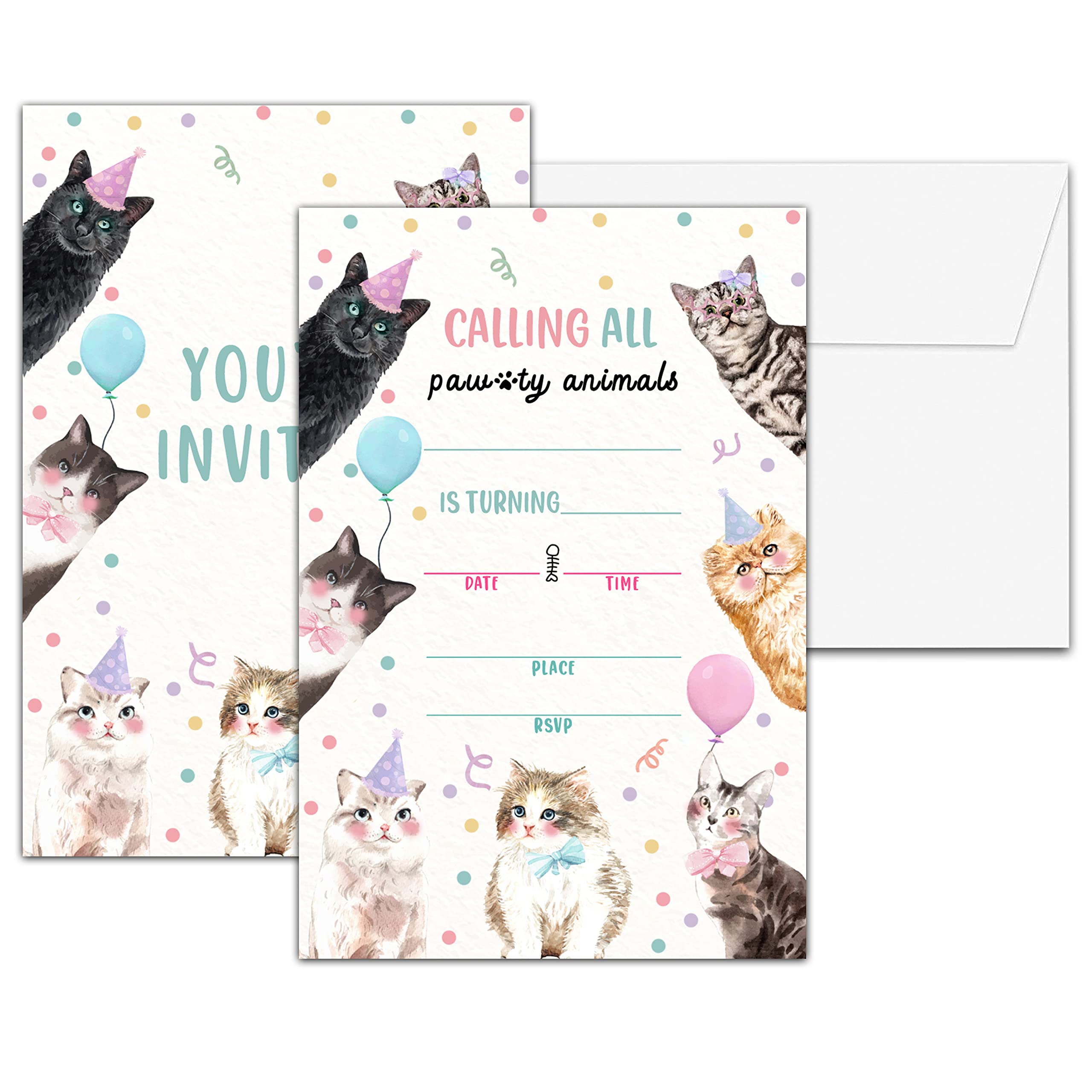 Cat Birthday Party Invitations Dogs And Cats Birthday Party