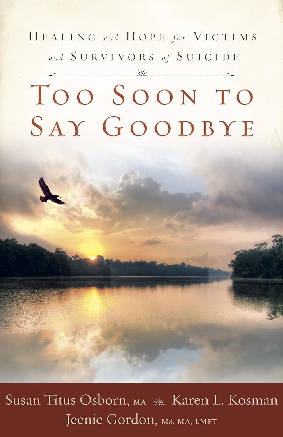Too Soon to Say Goodbye: Healing and Hope for Victims and Survivors of ...
