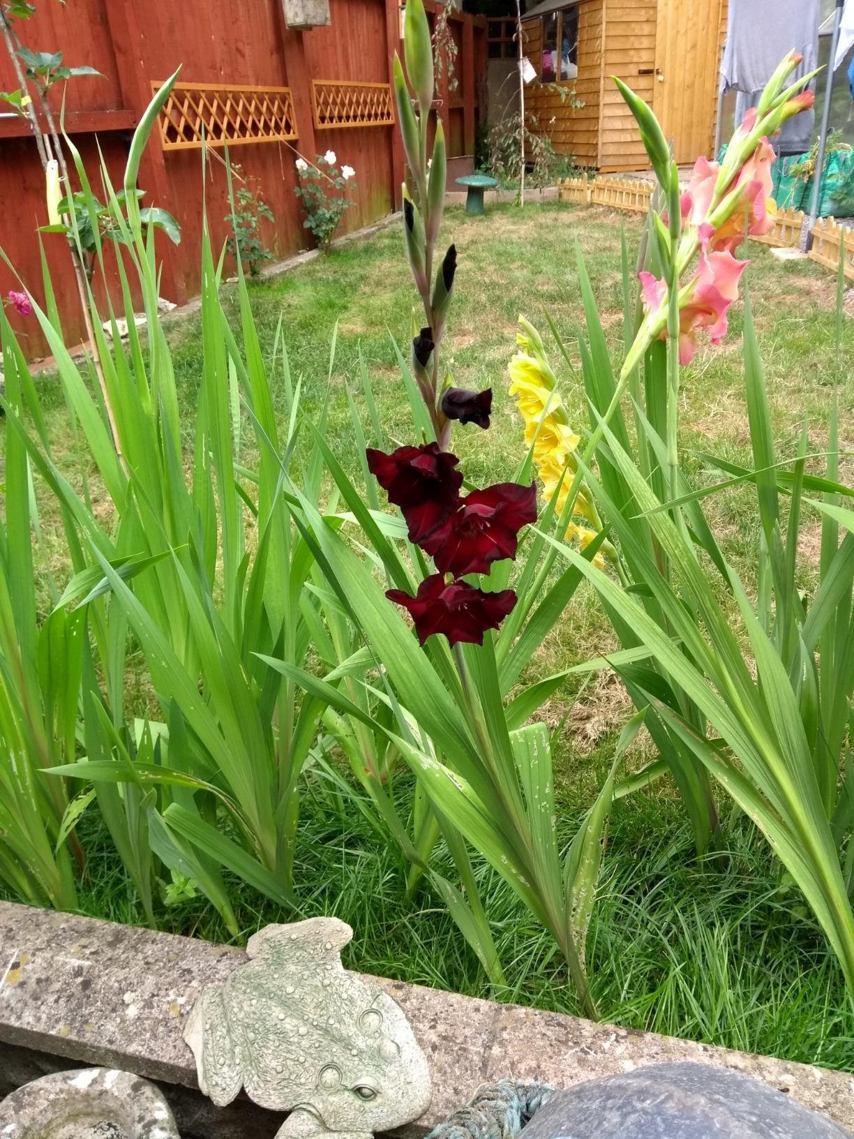 Masterplug 10A 250v Inline Plug & Socket Conversion Adaptors for ...