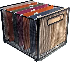 Amazon.com : SREGGSIY 2 Pack Metal Hanging File Organizer,File Storage ...