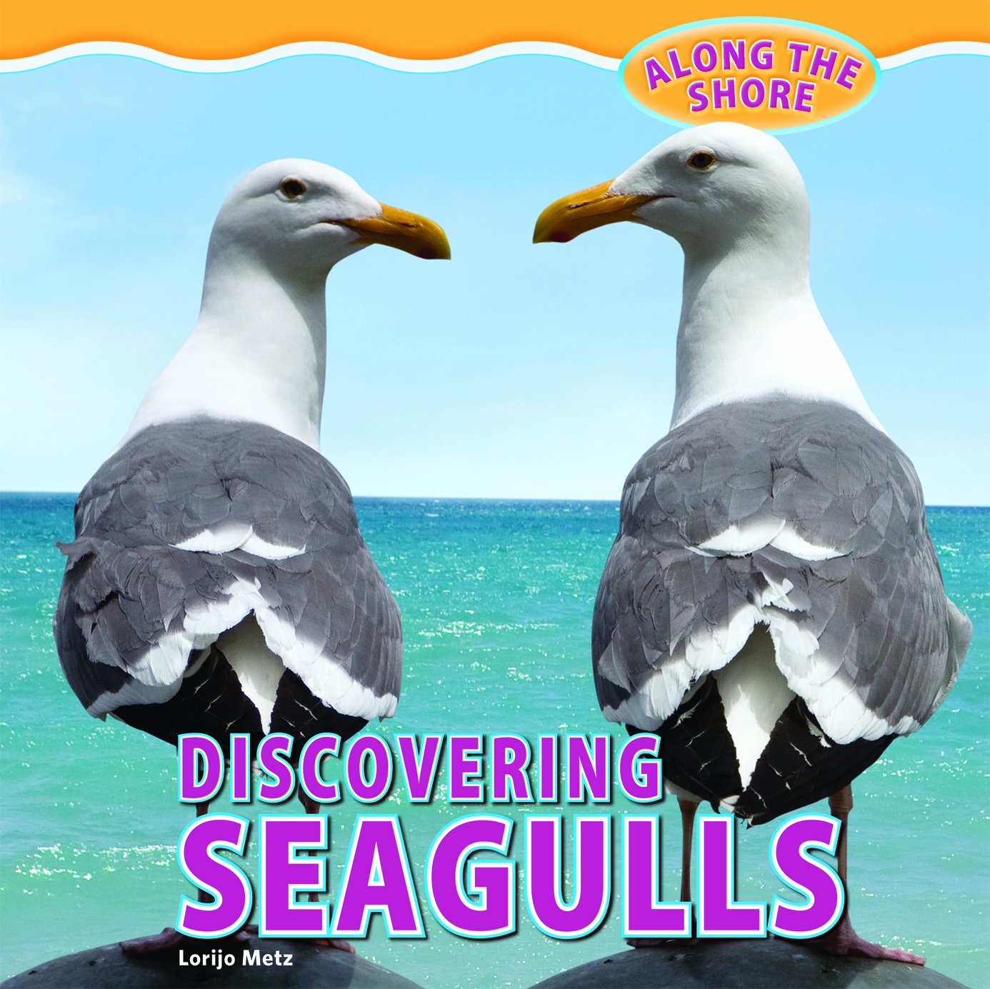 Discovering Seagulls (Along the Shore): Amazon.co.uk: Metz, Lorijo ...