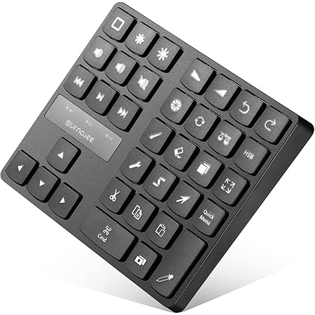 Amazon.com: SurnQiee Bluetooth Keypad for iPad Procreate, Wireless ...