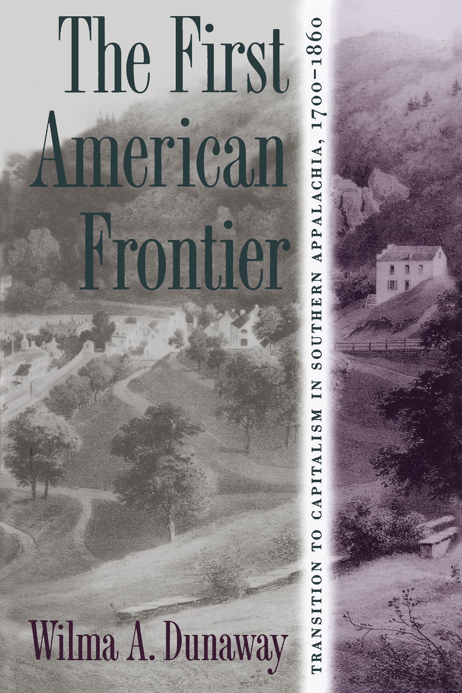 The First American Frontier: Transition to Capitalism in Southern ...