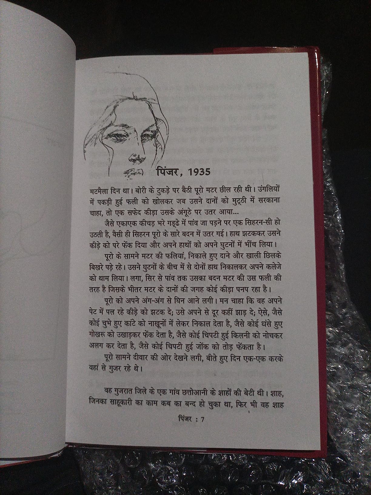 Pinjar: Ek Marmik Kahani - Jis Par Suprasiddh Nirdeshak Dr ...