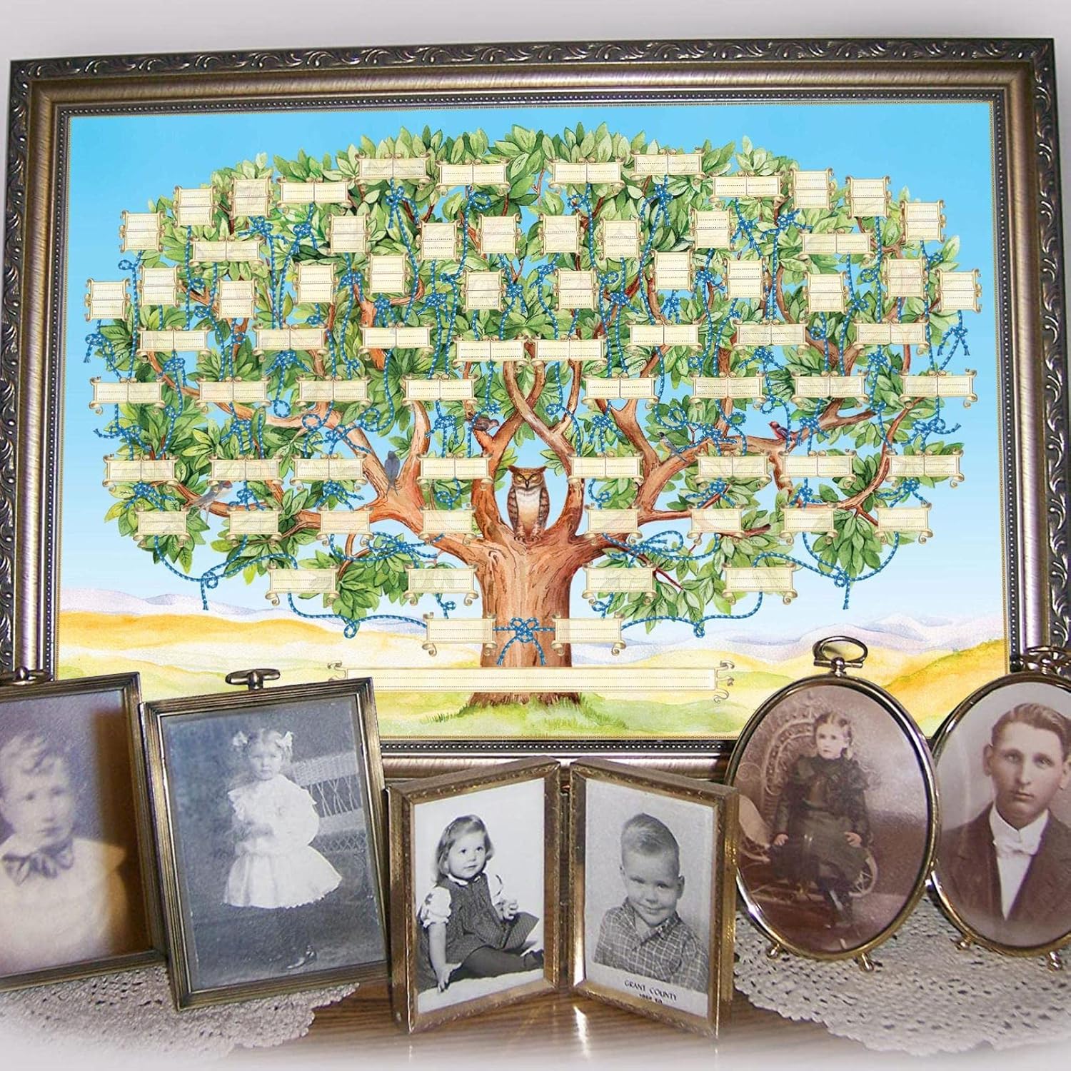 Amazon.com: Family Tree Chart | Family Tree Charts to fill in 6 ...