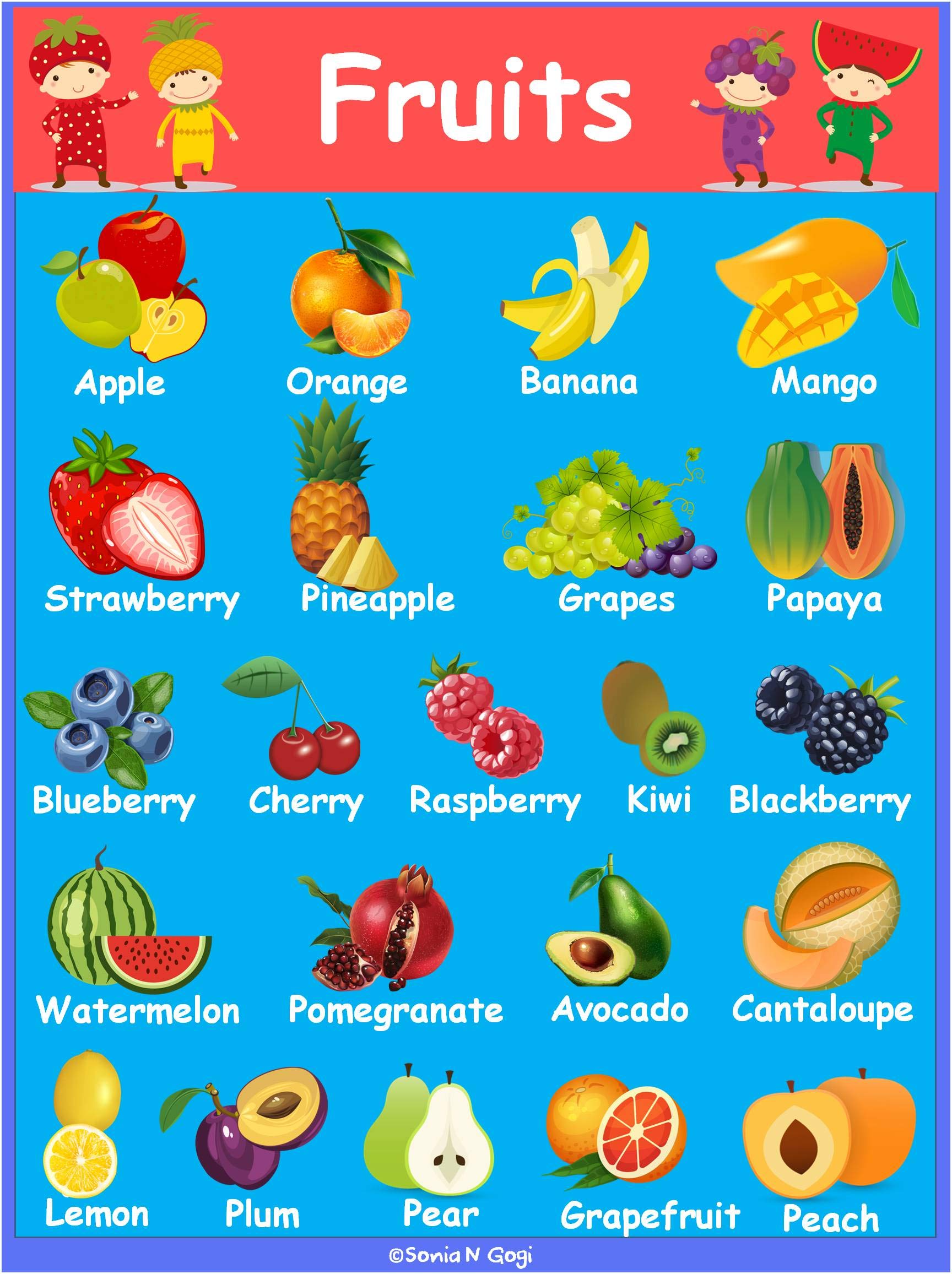 Buy 10 Laminated Kids Educational Posters Toddler Learning Poster Set buy-10-laminated-kids-educational-posters-toddler-learning-poster-set