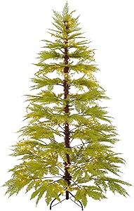 Amazon.com: Virubi 6 FT Cypress Christmas Tree with Star Tinsel Lights ...