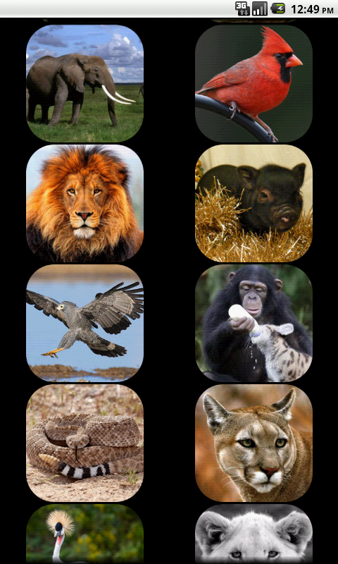 Zoo Animal Sounds - App on the Amazon Appstore