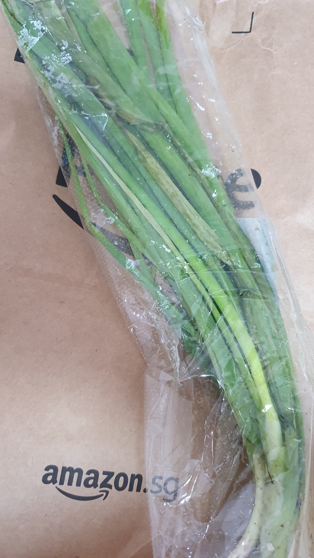 Fresh Produce Spring Onion, 200g : Amazon.sg: Grocery