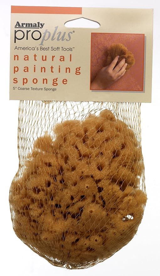 Amazon.com: ProPlus Natural Painting Sponge Coarse Texture, Small ...
