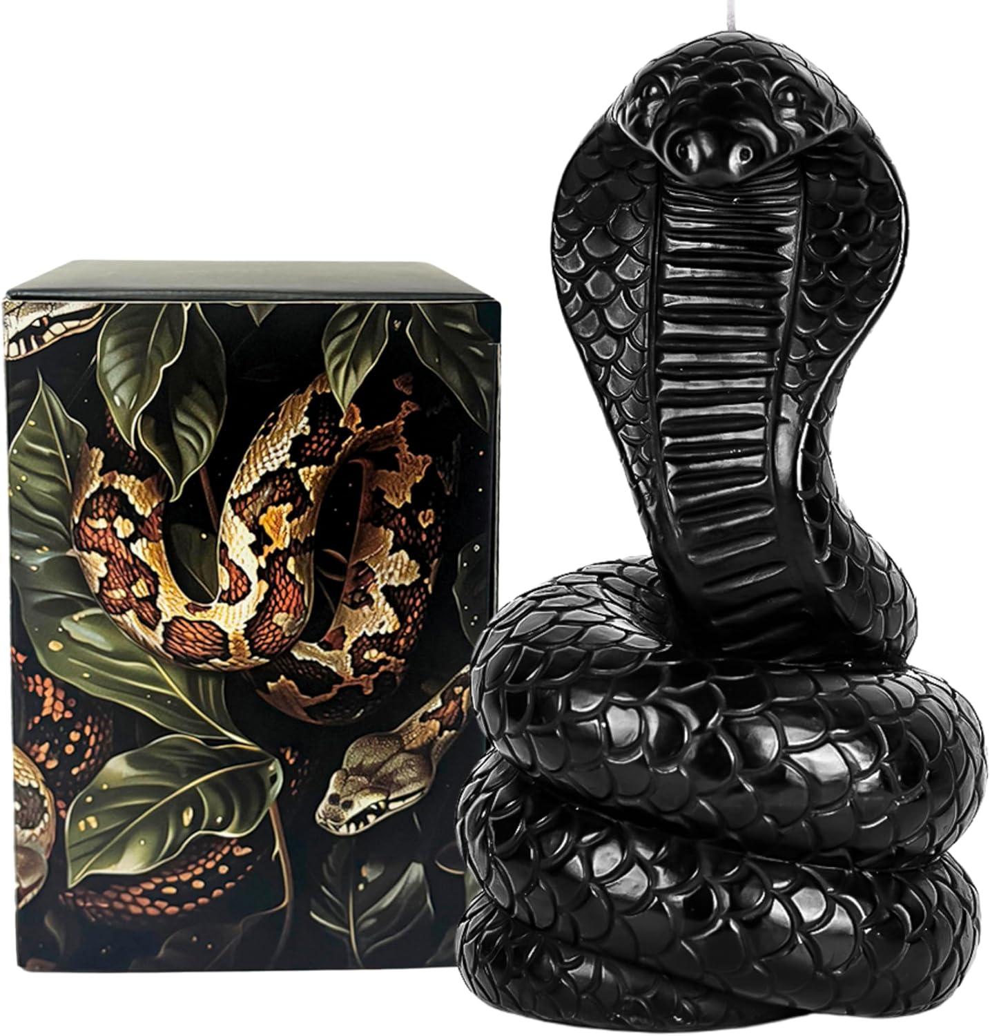 Amazon.com: LIDY Black Snake Candle 7in, 30hr, Gift Box - Snake Big ...
