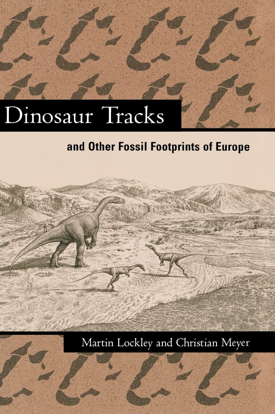 Dinosaur Tracks and Other Fossil Footprints of Europe: Amazon.co.uk ...
