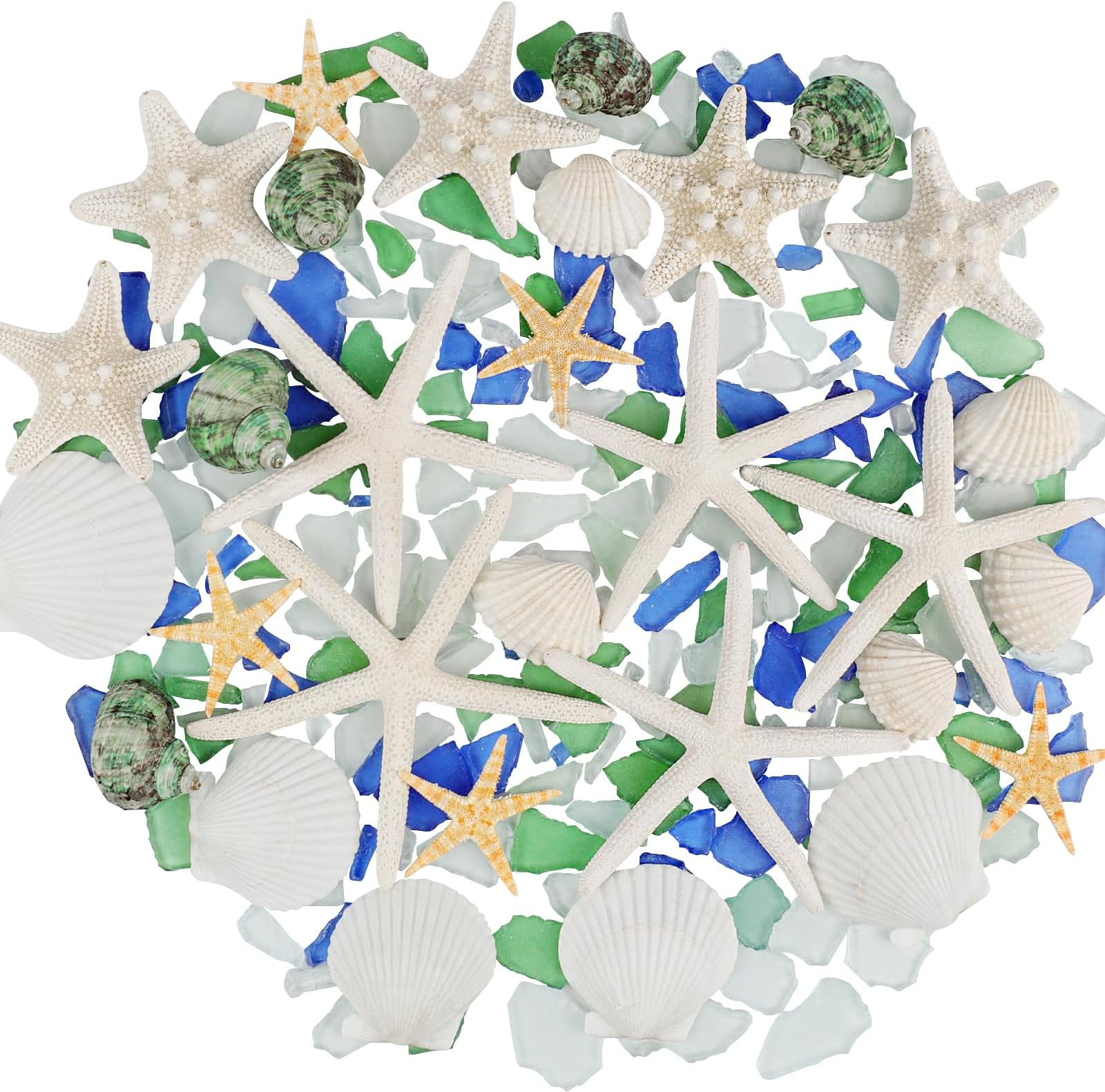 Amazon.com: Tumbler Home White Sea Shell Mix with Aqua Sea Glass | Set Contains 1.5 lbs of ...