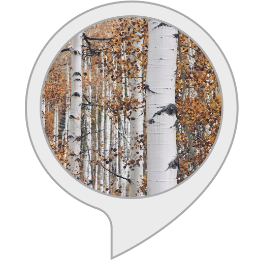 Amazon.com: Ron Foster Fact Sheet : Alexa Skills