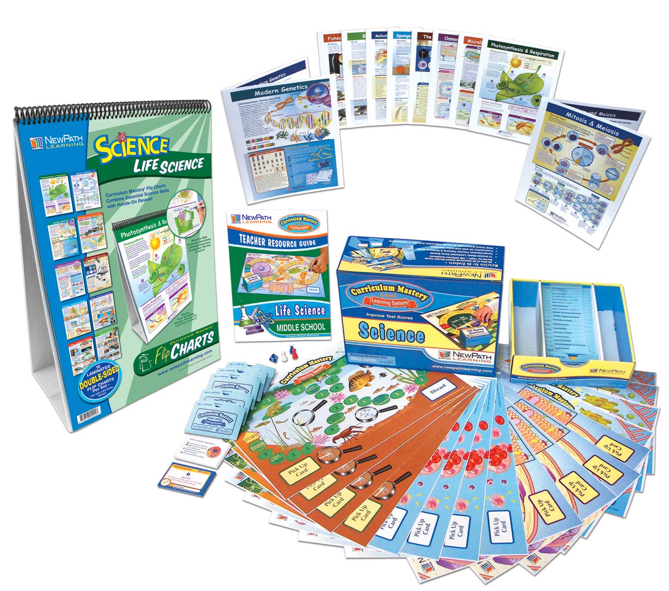 Amazon.com: NewPath Learning 24-6177 Life Science Curriculum Learning ...