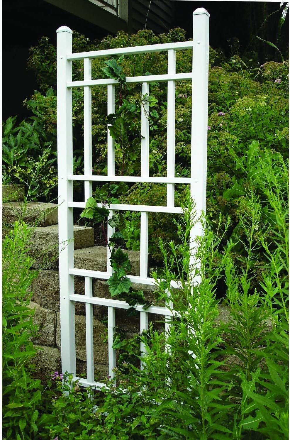 Amazon.com : Dura-Trel 11173 Wellington Trellis, White : Trellises ...