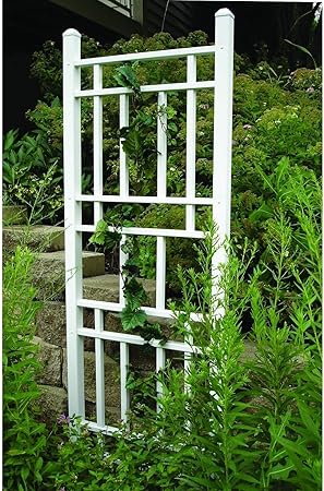 Amazon.com : Dura-Trel 11173 Wellington Trellis, White : Trellises ...