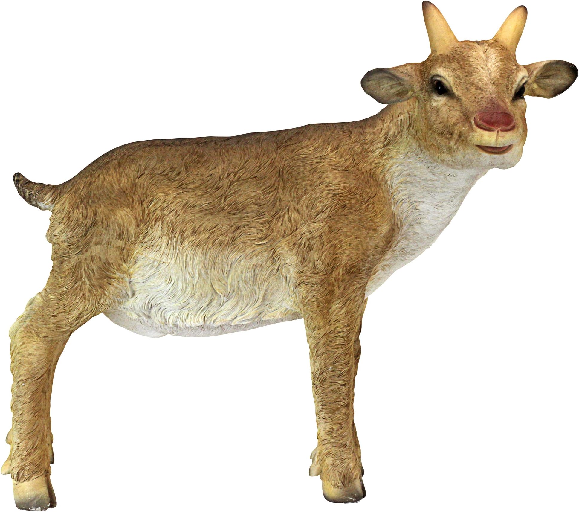 Amazon.com: Bits and Pieces - Realistic Goat Statue - Lifelike Durable ...
