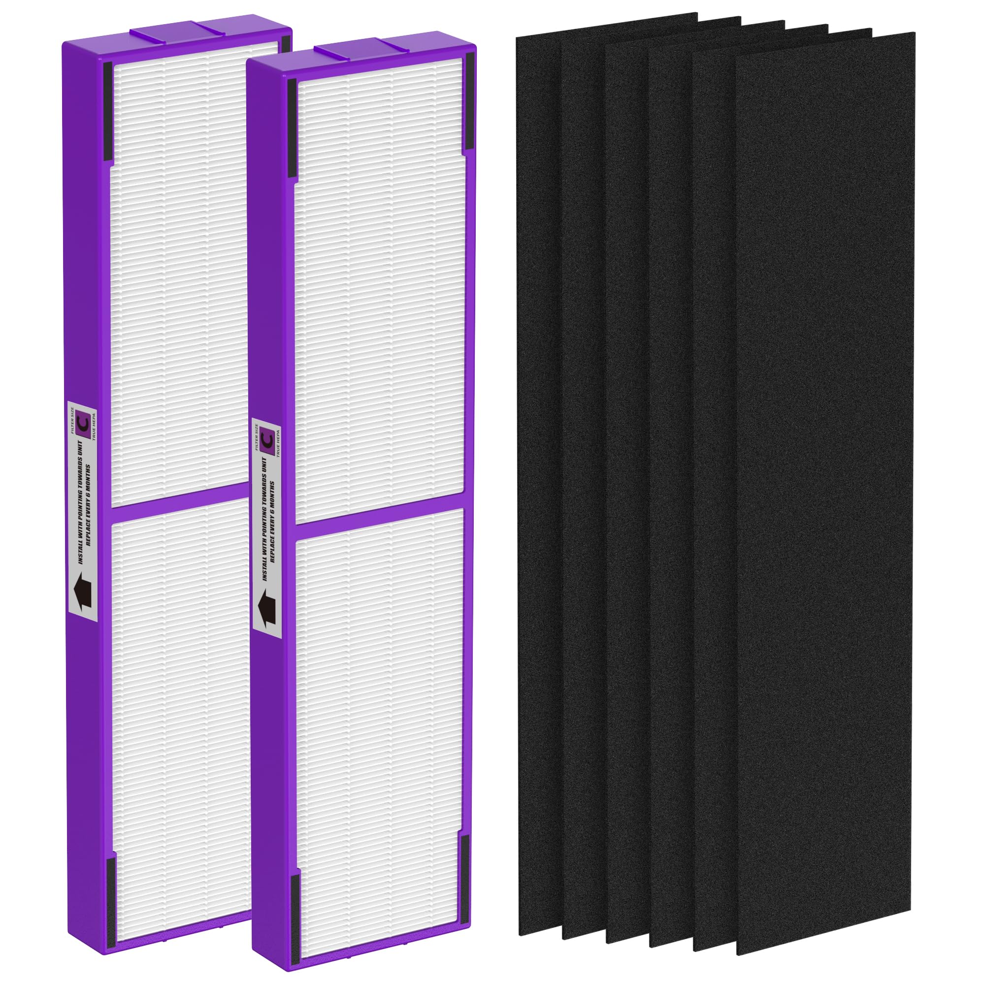 Amazon.com: FLT5250PT HEPA Filter C Pet Compatible with Germ-Guardian ...