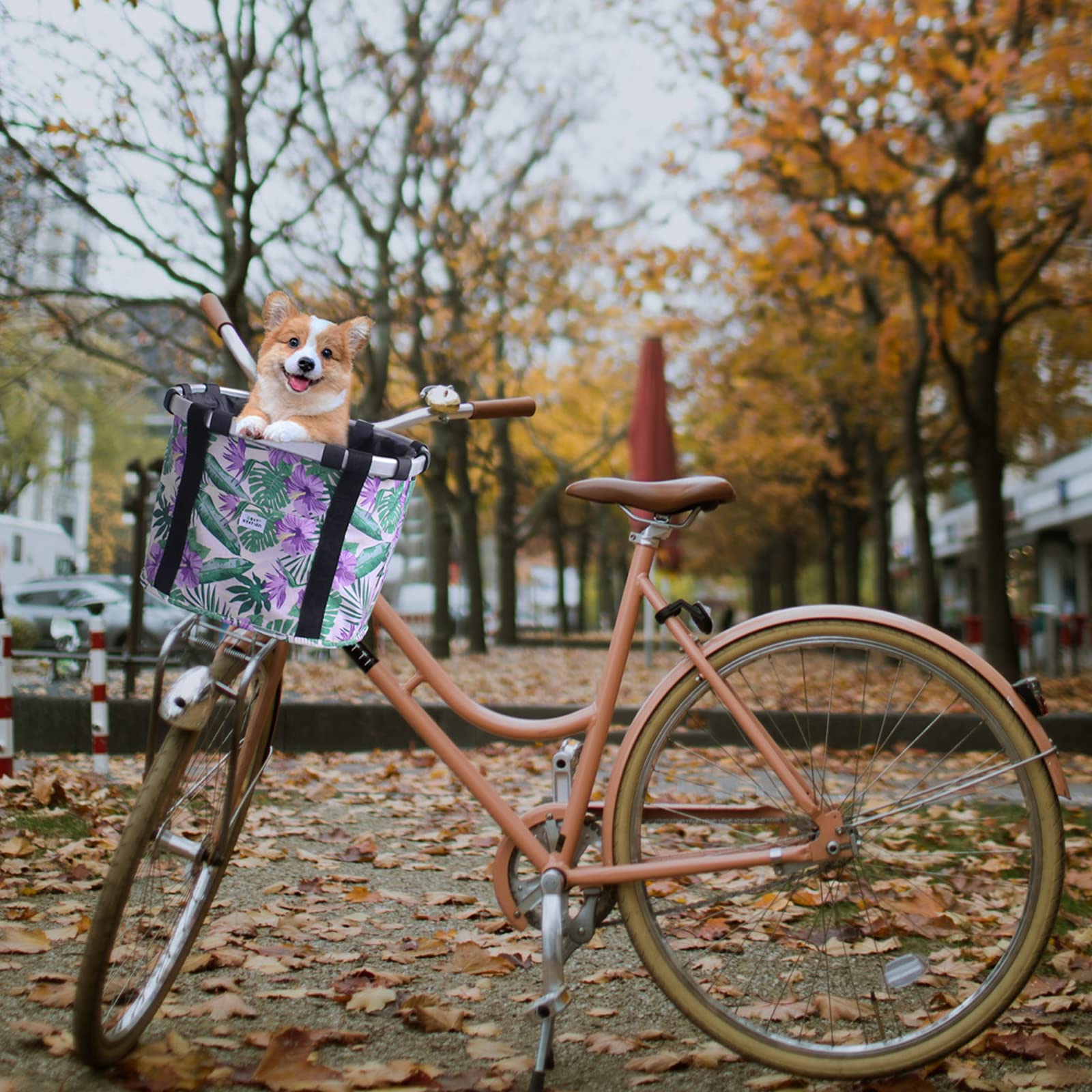 RAYMACE Bicycle Basket Dog Bike Handlebar Basket Front,Folding ...