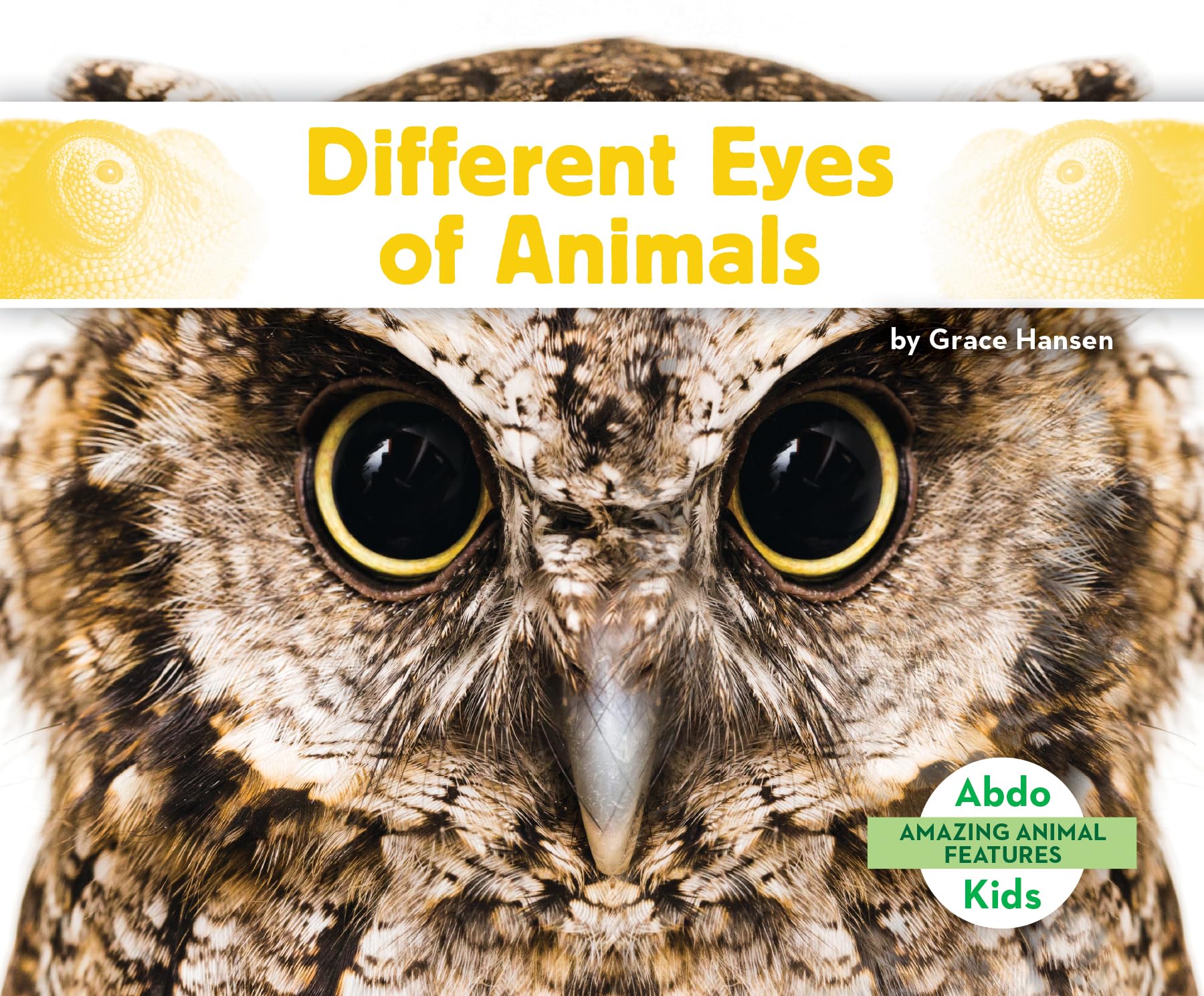 Different Eyes of Animals (Amazing Animal Features): Hansen, Grace ...