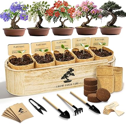 Amazon.com : LUOJIBIE Bonsai Tree Kit for Beginners - Unique Gifts for ...