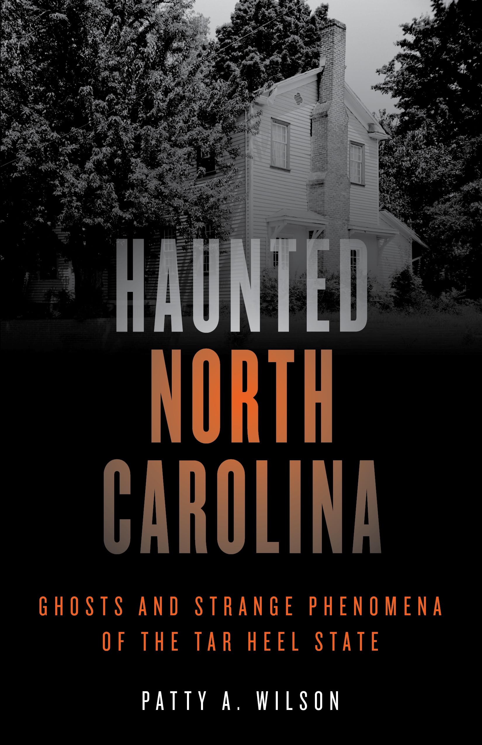 Haunted North Carolina (Haunted Series): Wilson, Patty: 9781493040872 ...