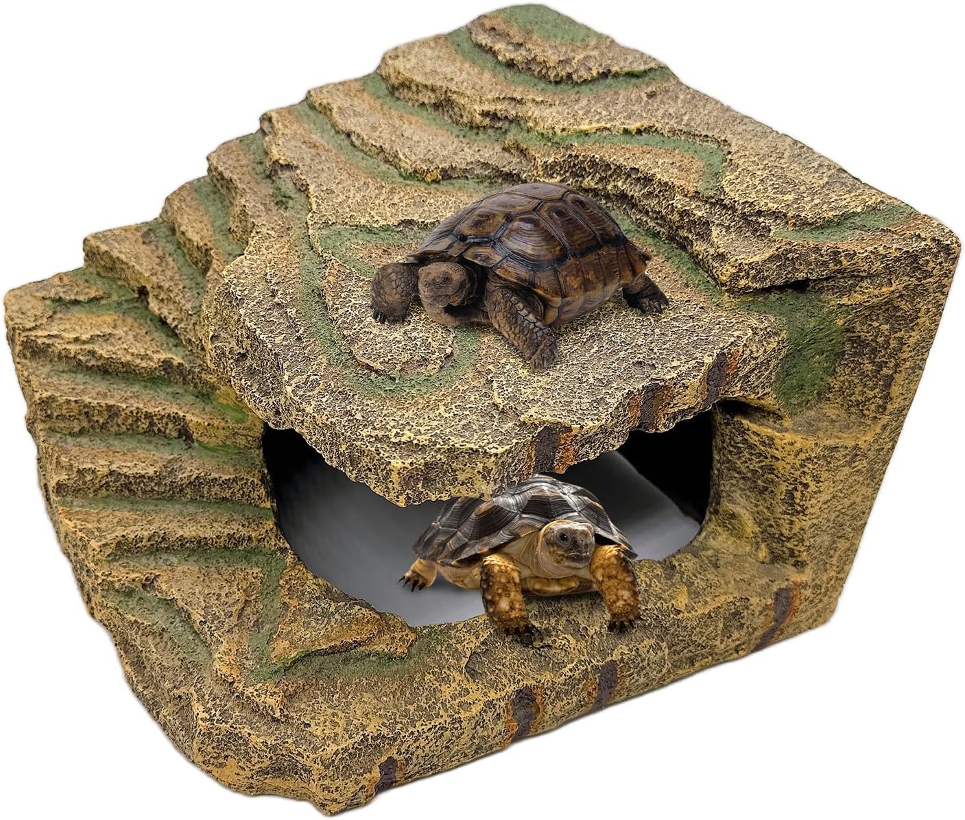 Amazon.com : kathson Turtles Basking Platform, Reptile Cave Hideout ...