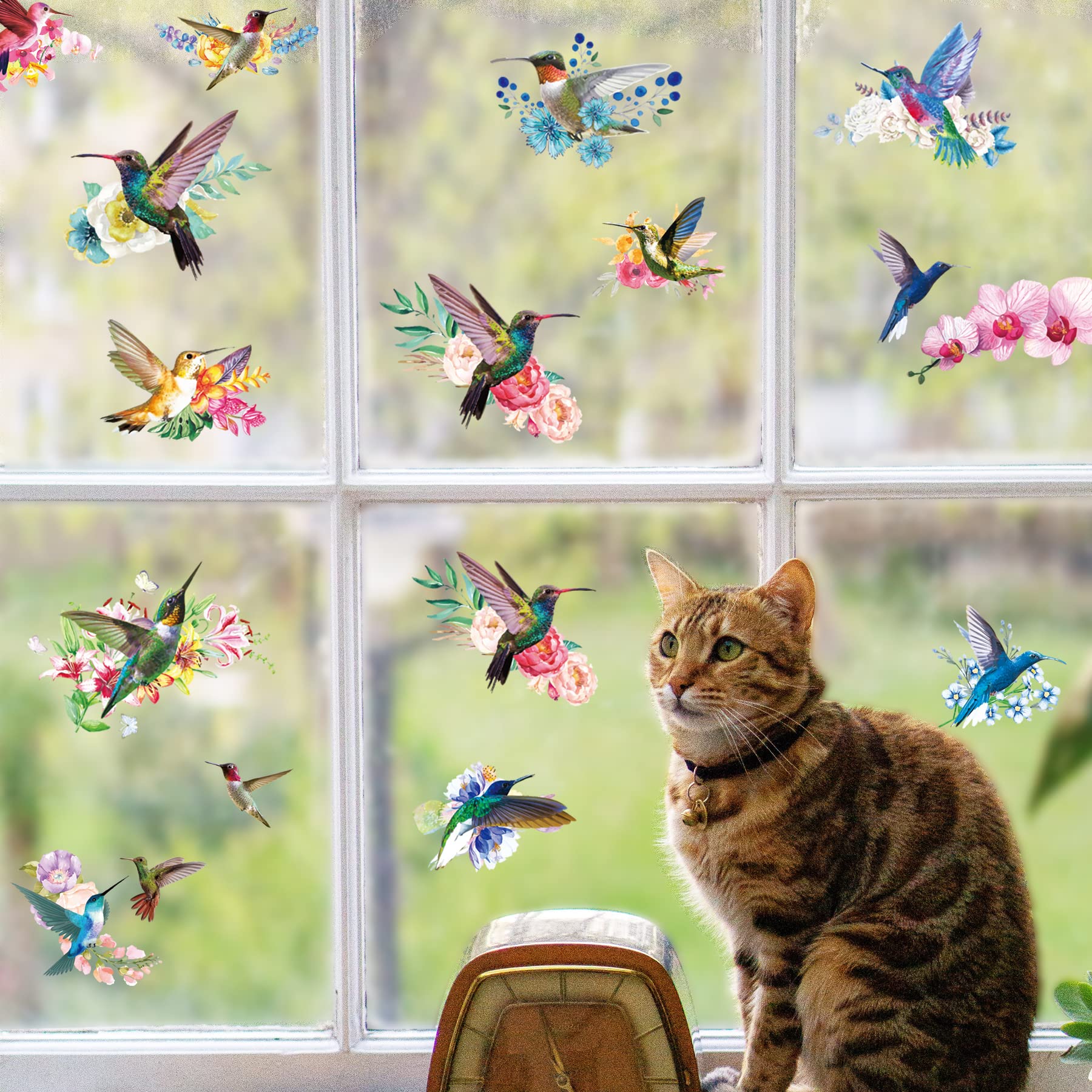 Amazon.com: PLIGREAT 8 Sheets Hummingbirds Window Stickers, Colorful ...