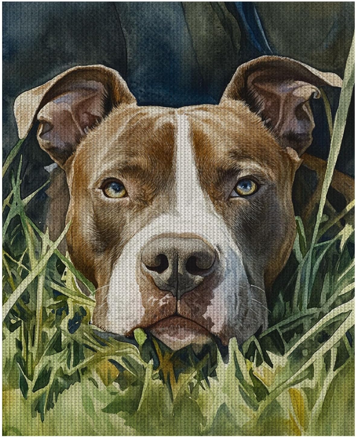 Amazon.com: Pitbull Dog Stamped Cross Stitch Kits for Adults Beginners ...