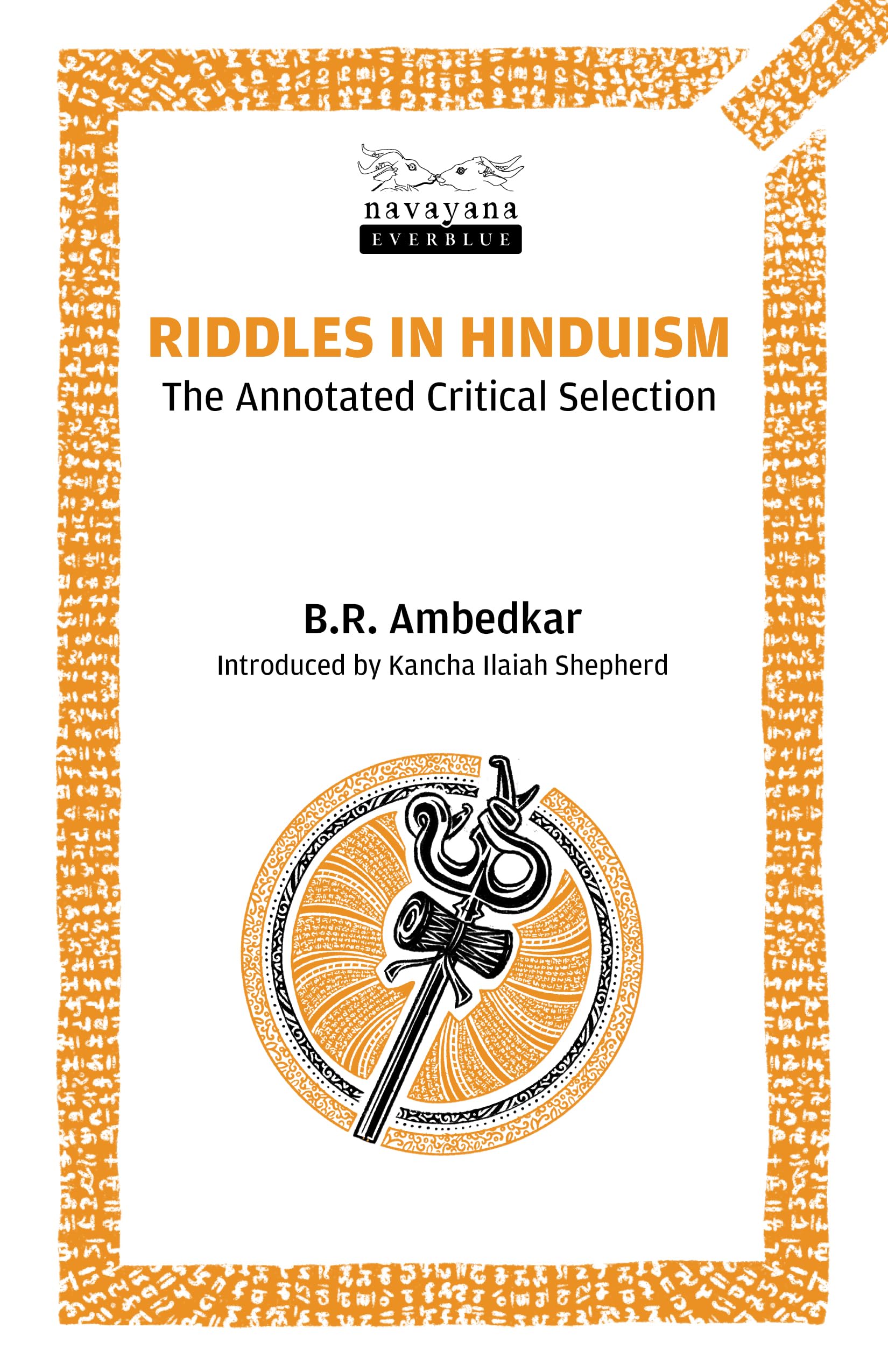 Buy Riddles in Hinduism: The Annotated Critical Selection (A Navayana ...