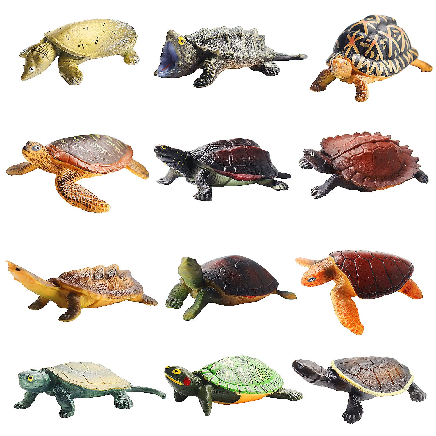 Yowies Turtle