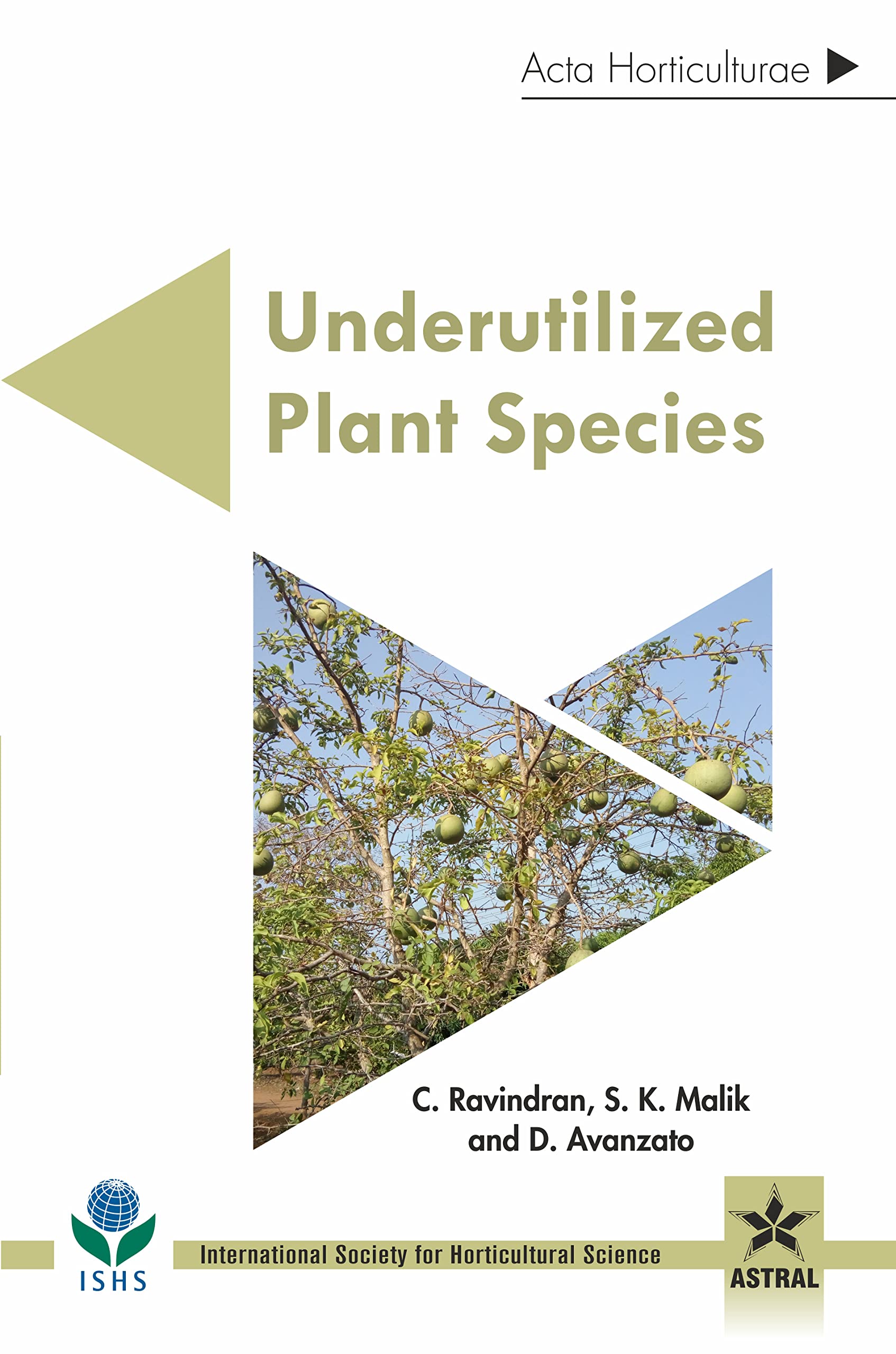 Underutilized Plant Species Acta Horticulturae 1241 Ravindran C C P ...