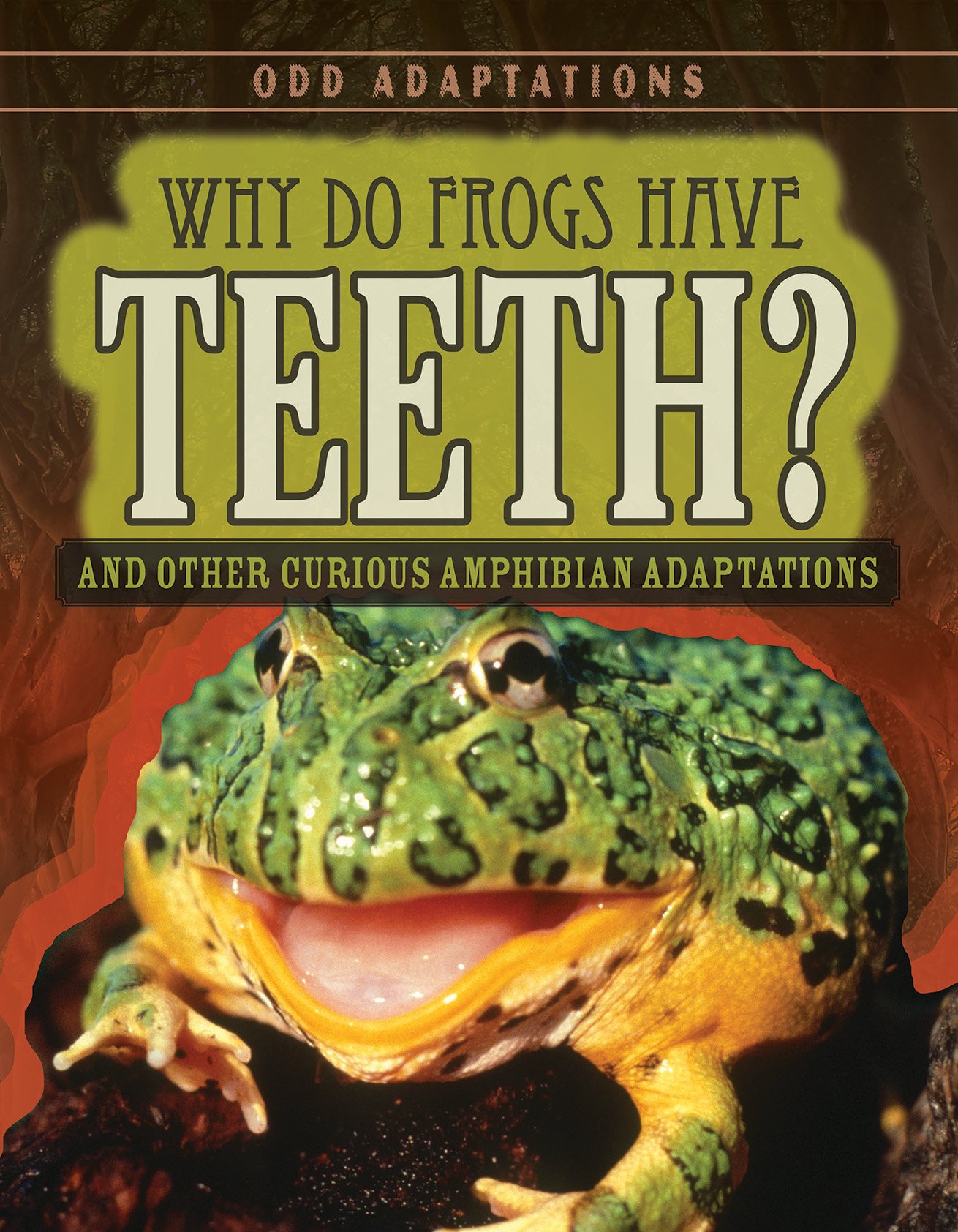 buy-why-do-frogs-have-teeth-and-other-curious-amphibian-adaptations